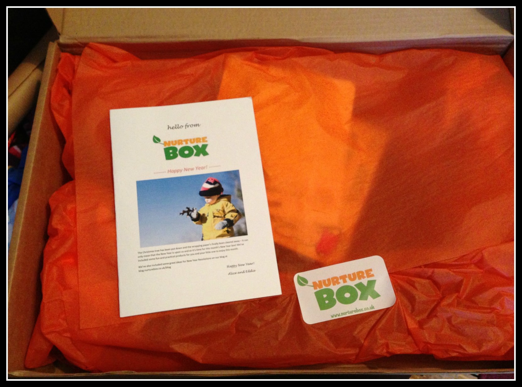 Nurture box review