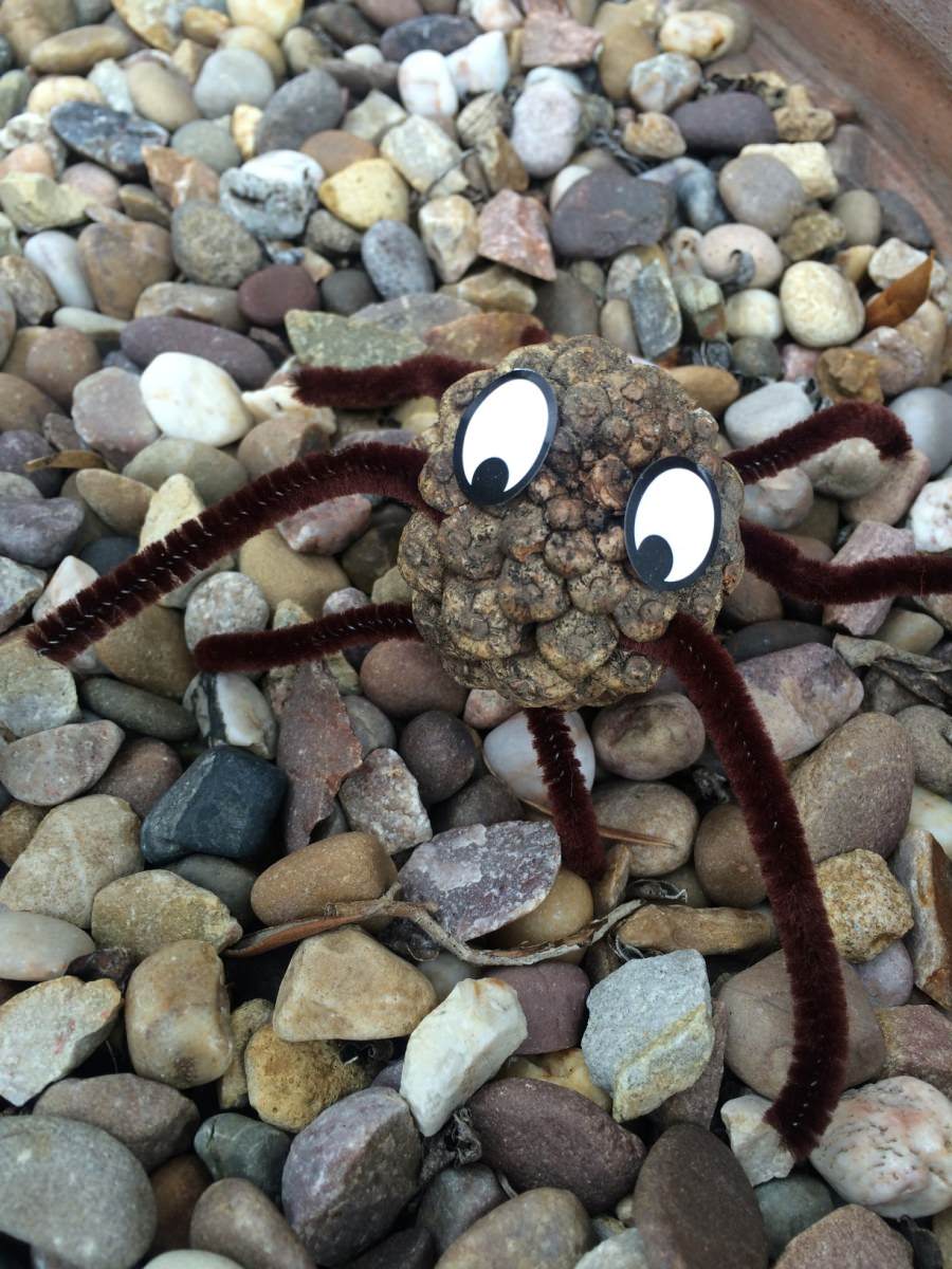 Pine cone spider - the-gingerbread-house.co.uk