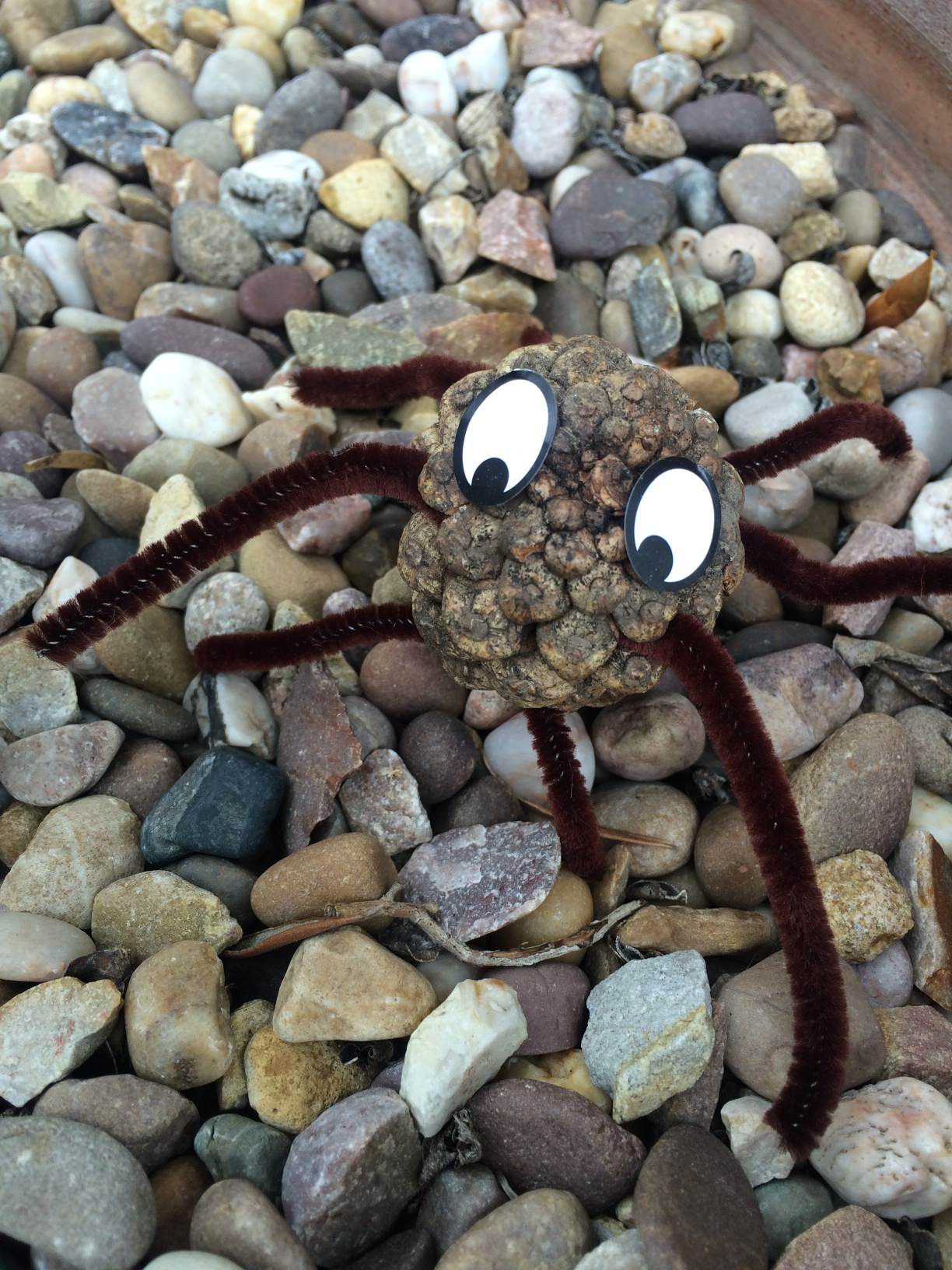 Pine cone spider - the-gingerbread-house.co.uk