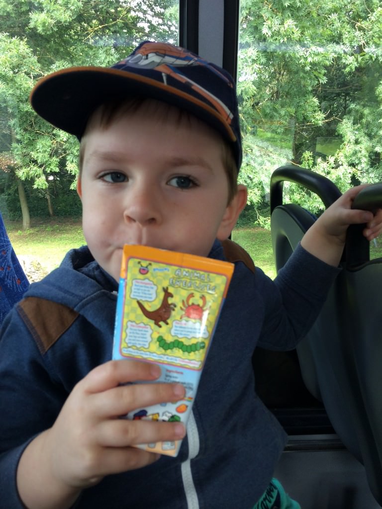 innocent Alphabet Champion challenge - letter i - the-gingerbread-house ...