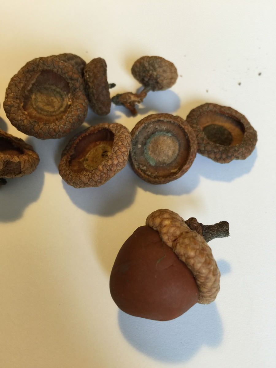 Easy play dough acorns - the-gingerbread-house.co.uk