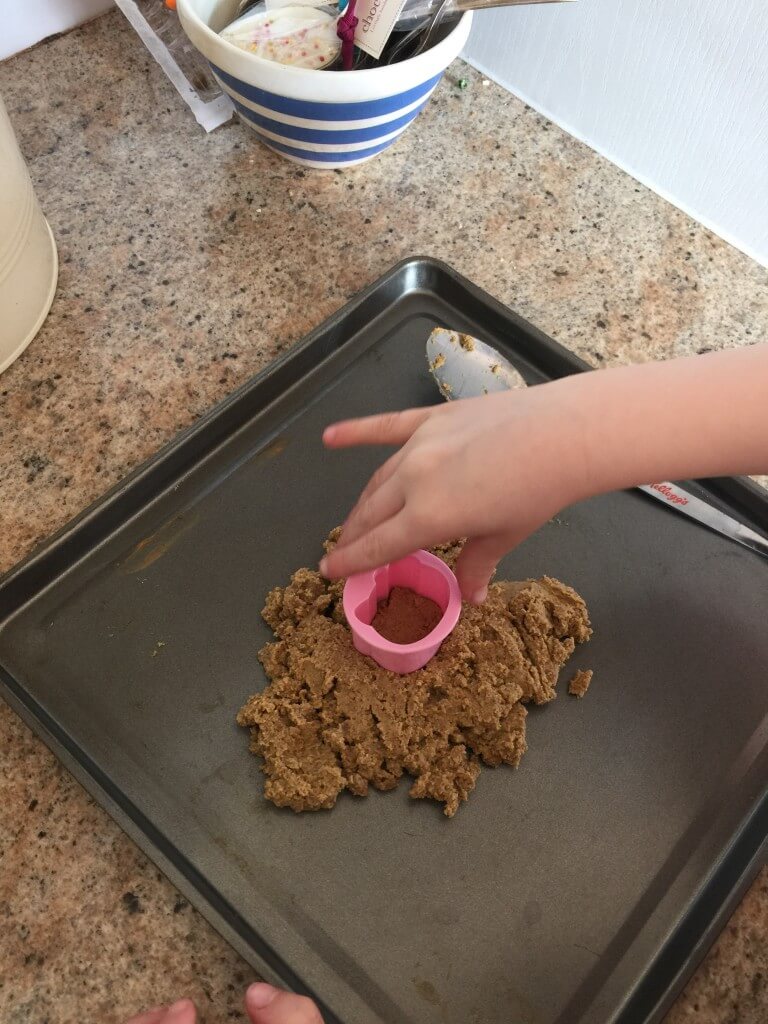 Homemade cookies for cats - the-gingerbread-house.co.uk