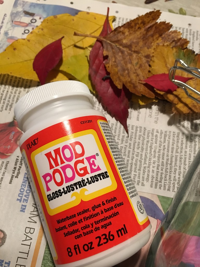 DIY Autumn leaves luminary - the-gingerbread-house.co.uk