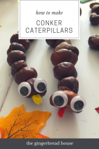 How to make conker caterpillars - the-gingerbread-house.co.uk