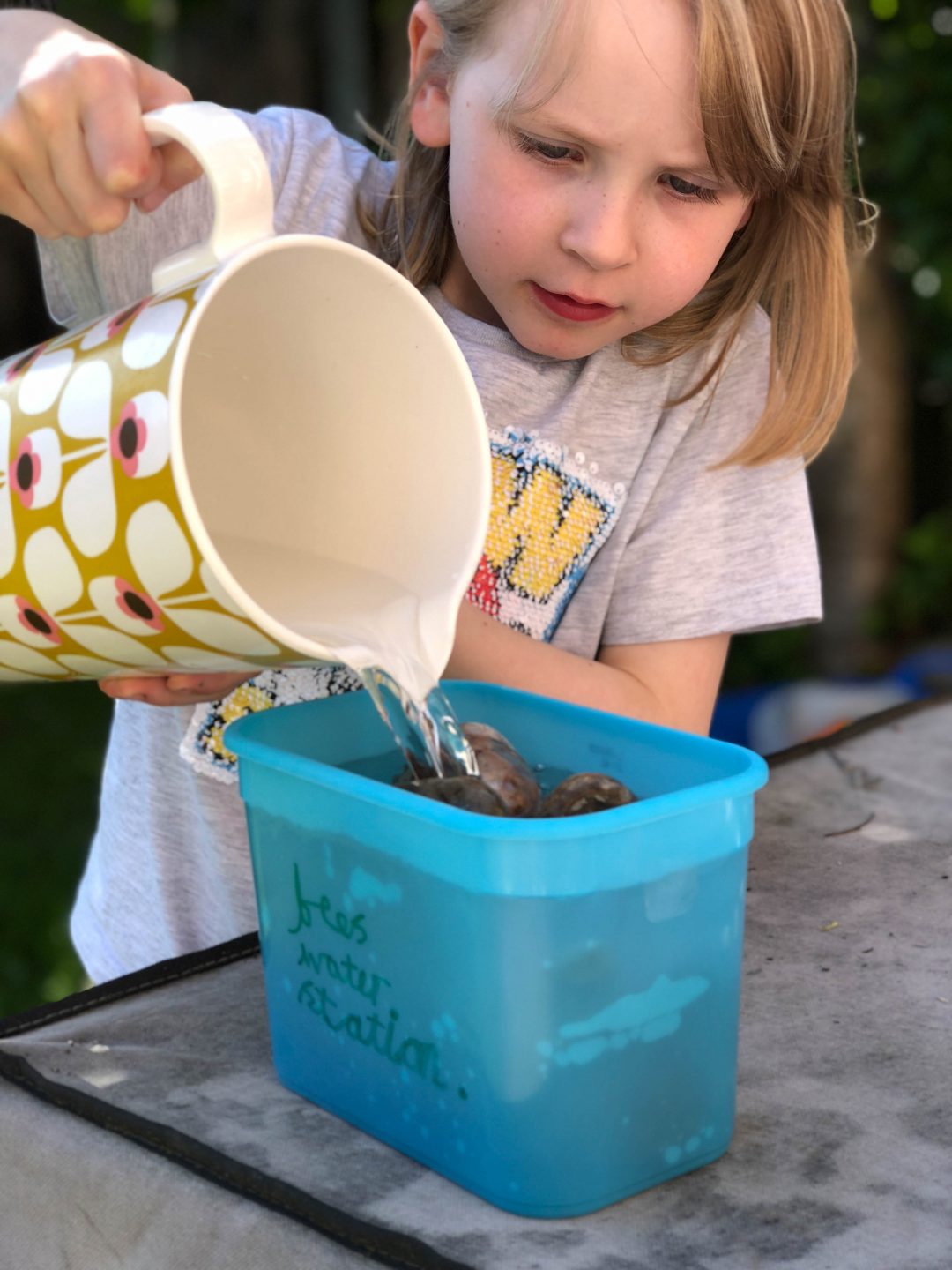 How to make a bee watering station - the-gingerbread-house.co.uk