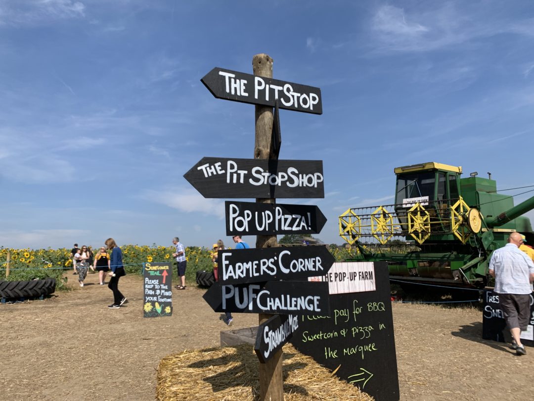 Instagram perfection at The Pop Up Farm - the-gingerbread-house.co.uk