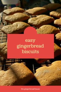 Baking with the Lidl gingerbread dough kit - the-gingerbread-house.co.uk