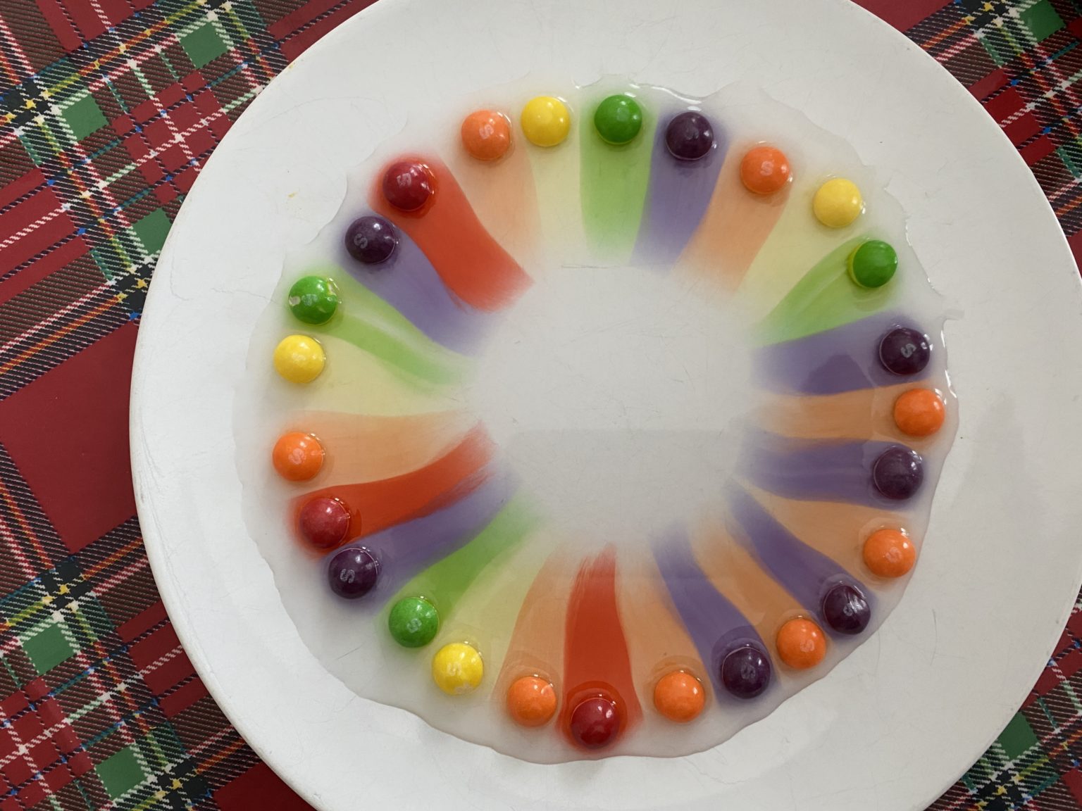 Skittles vs Smarties experiment - the-gingerbread-house.co.uk