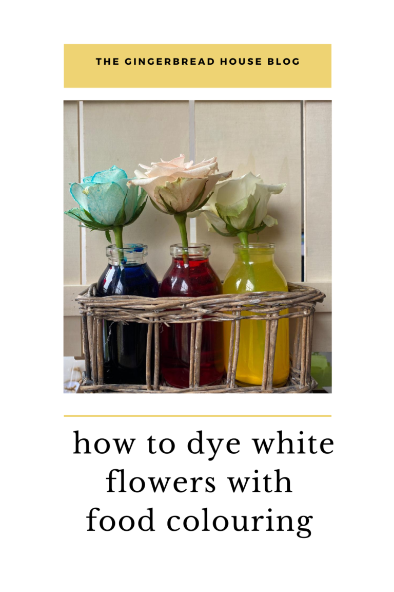 How to dye white flowers with food colouring - the-gingerbread-house.co.uk