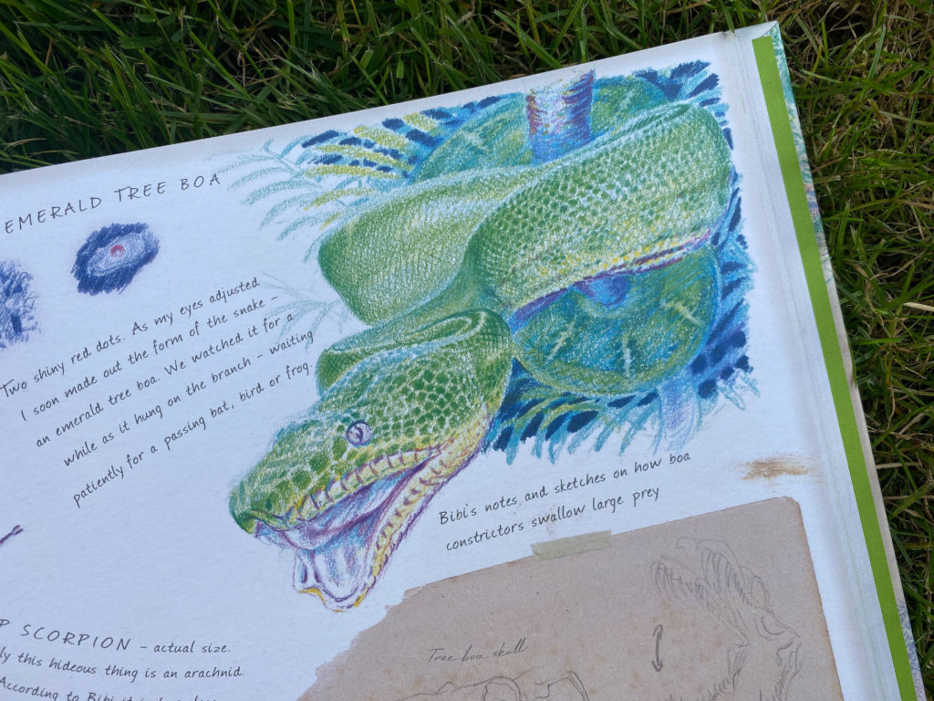 Journey to the Lost River {book review} - the-gingerbread-house.co.uk