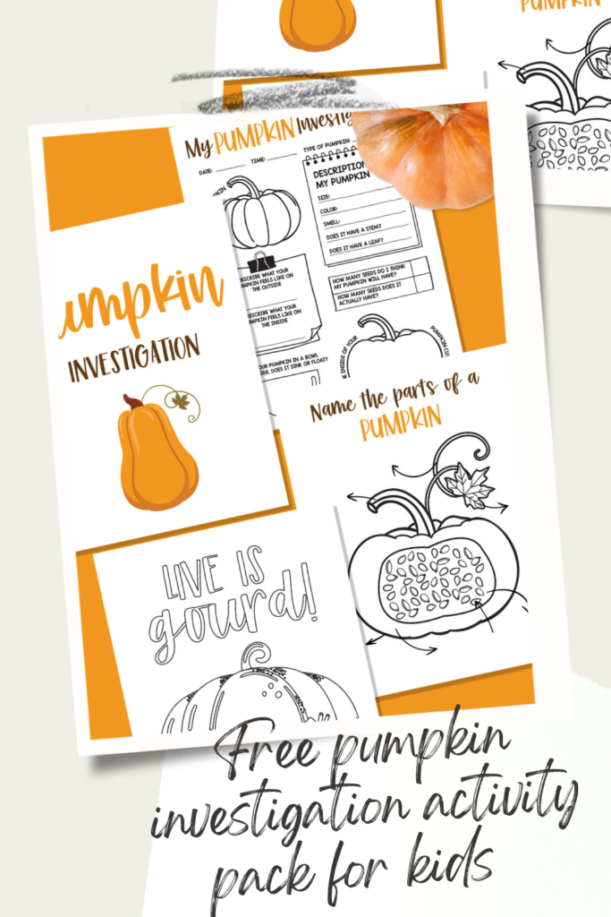 Free pumpkin investigation activity pack - the-gingerbread-house.co.uk