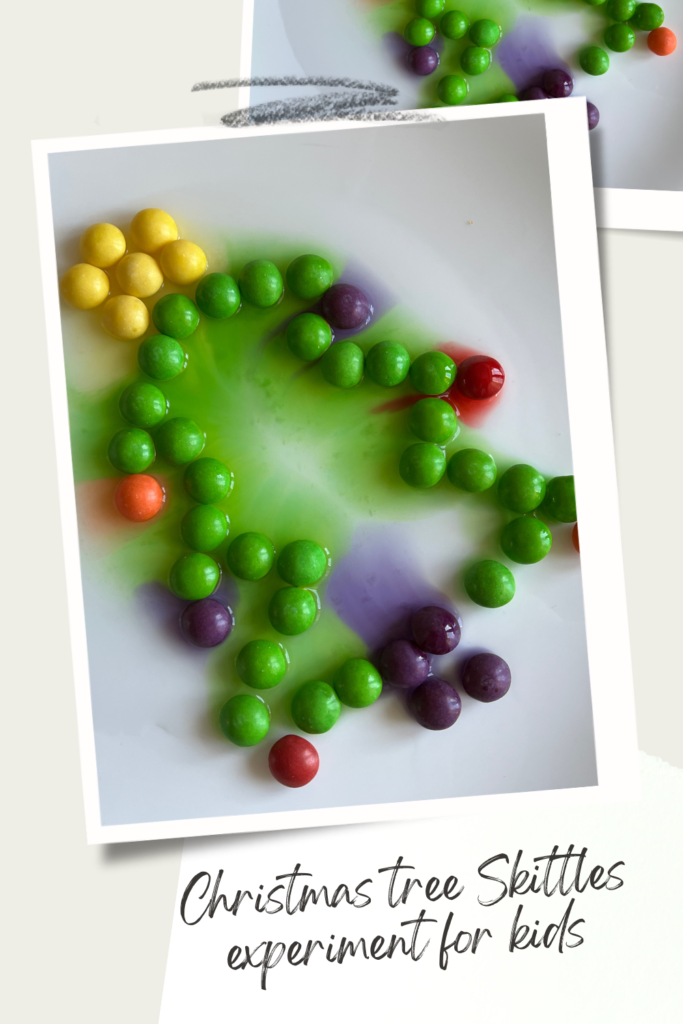 Christmas tree Skittles experiment for kids - the-gingerbread-house.co.uk
