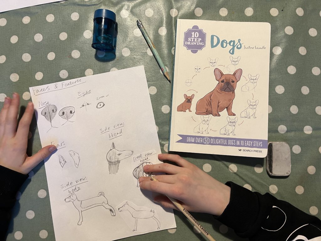 10 Step Drawing: Dogs {book review} - the-gingerbread-house.co.uk
