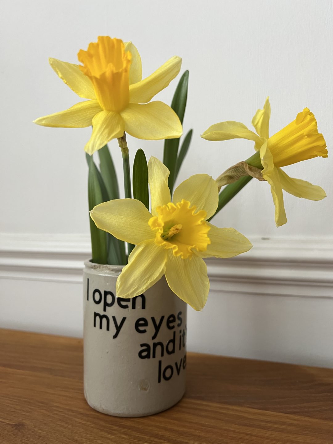 How to make vinyl decals with your Cricut - the-gingerbread-house.co.uk